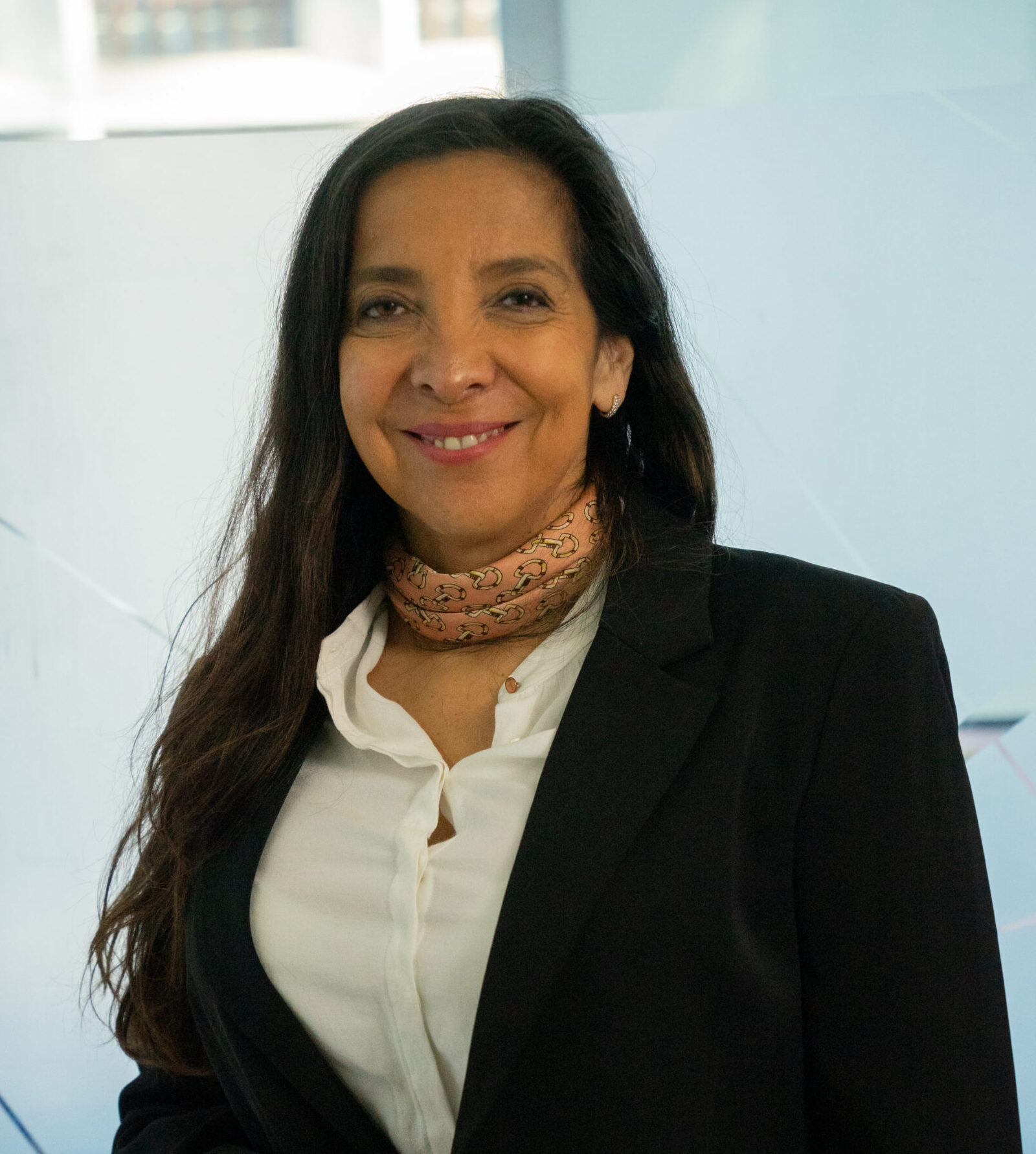 Directorio y equipos - GIRO